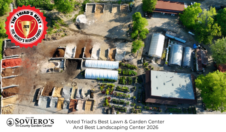 Soviero's Wins Triad's Best Lawn, Garden & Landscaping Center - Soviero ...